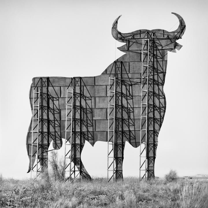 El Toro | Shutterbug